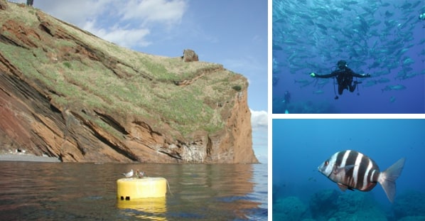 garajau - Madeira Holidays - Tourism Guide Madeira - Accommodation
