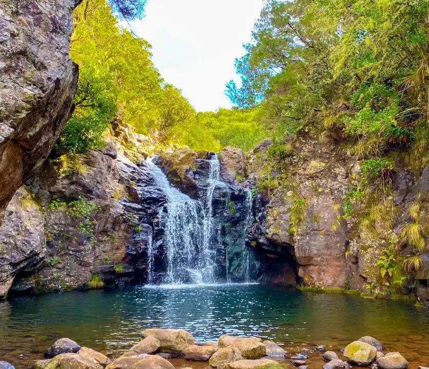 Levada do Alecrim